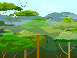 Rainforest Webquest | Create WebQuest