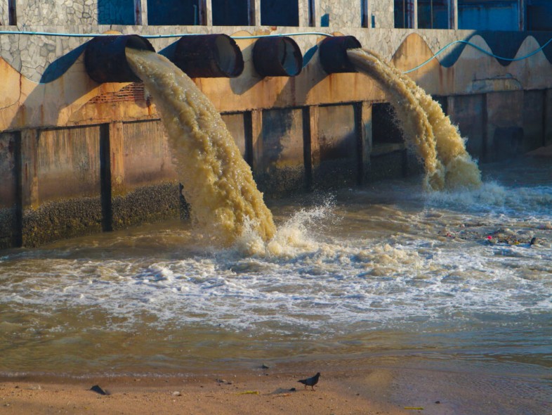Activities for Grade 5 on Water Pollution – Introduction to Water ...