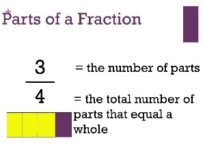 Parts of fractions – All about fractions – Wikiful