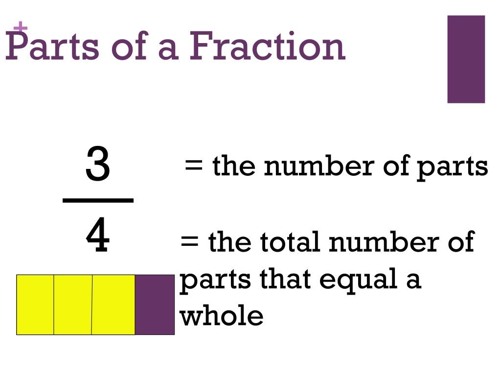 Parts of fractions – All about fractions – Wikiful